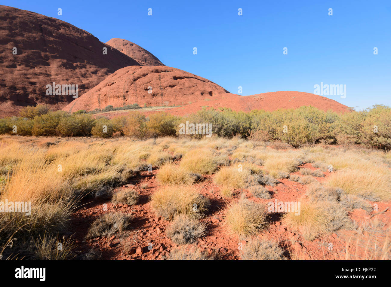 The Olgas (Kata Tjuta), Northern Territory, Australia Stock Photo - Alamy