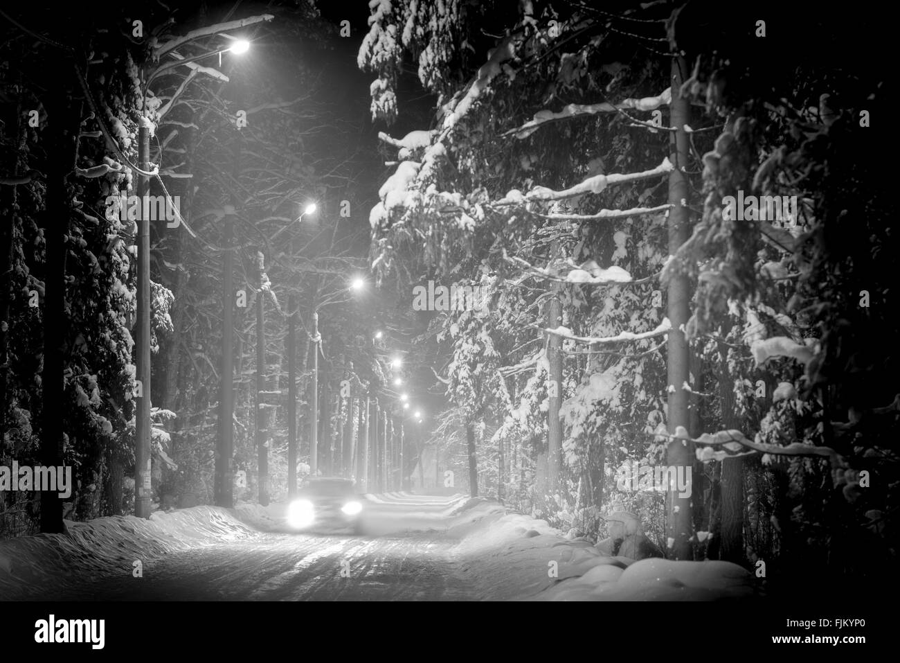 Car driving in winter forest covered with snow. Night scene, street ...
