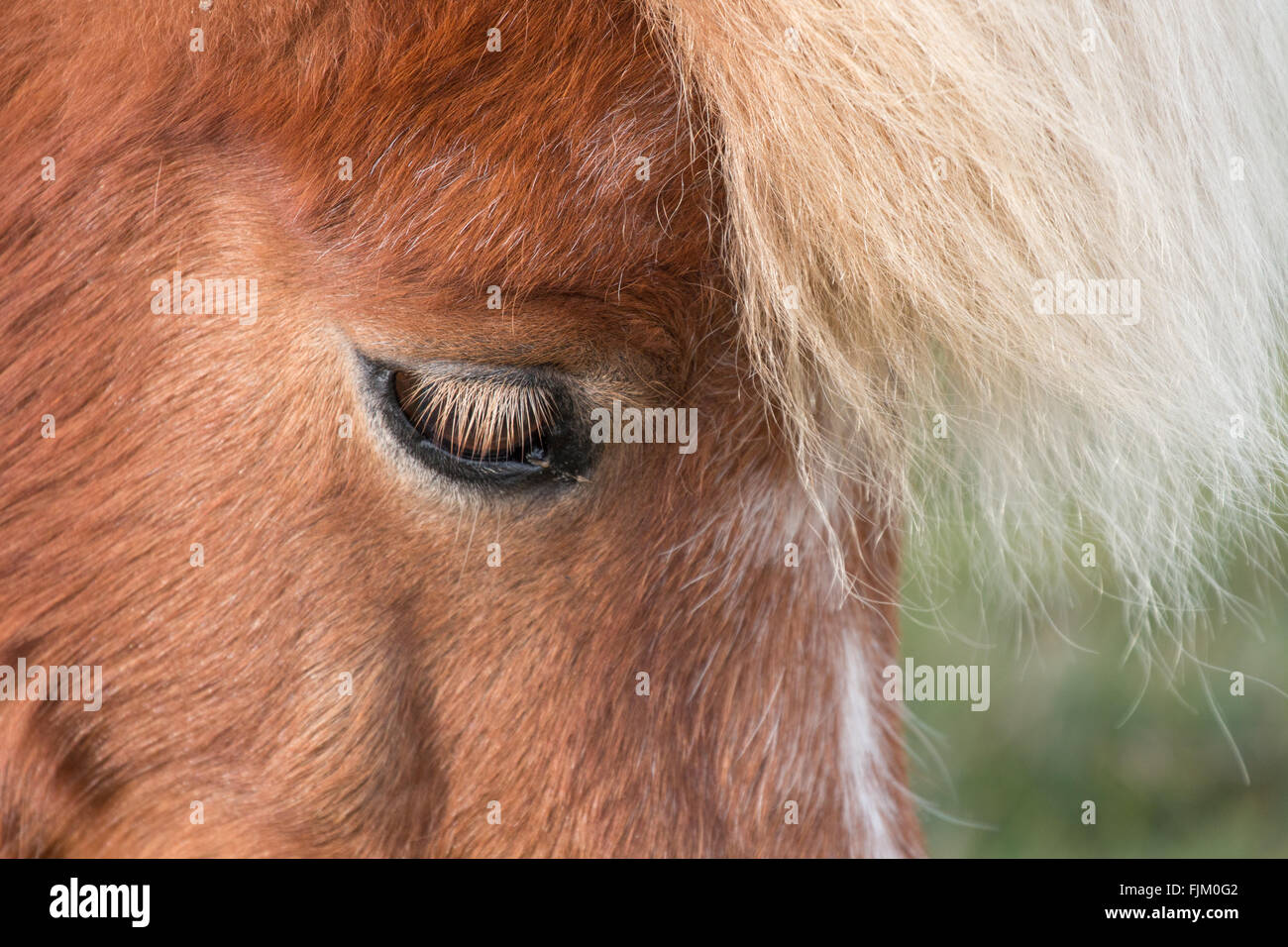 Intellient hi-res stock photography and images - Alamy
