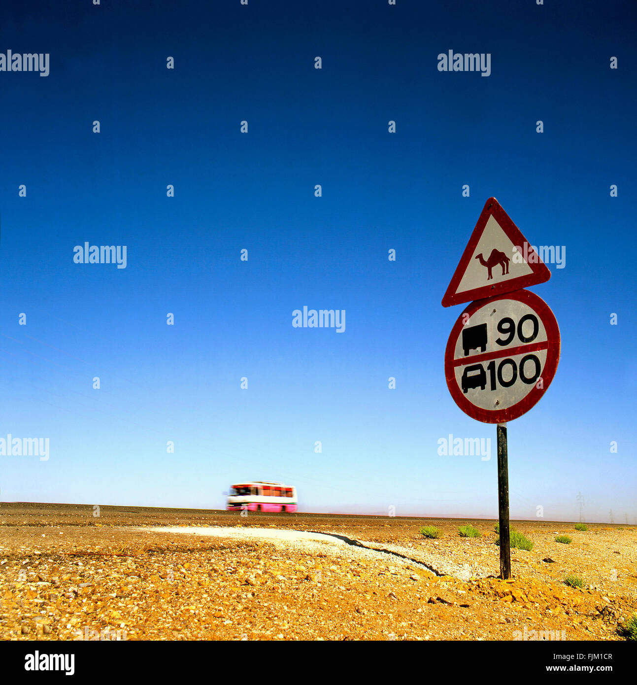 Traffic sign in the desert warning for camels and indicating the speed ...