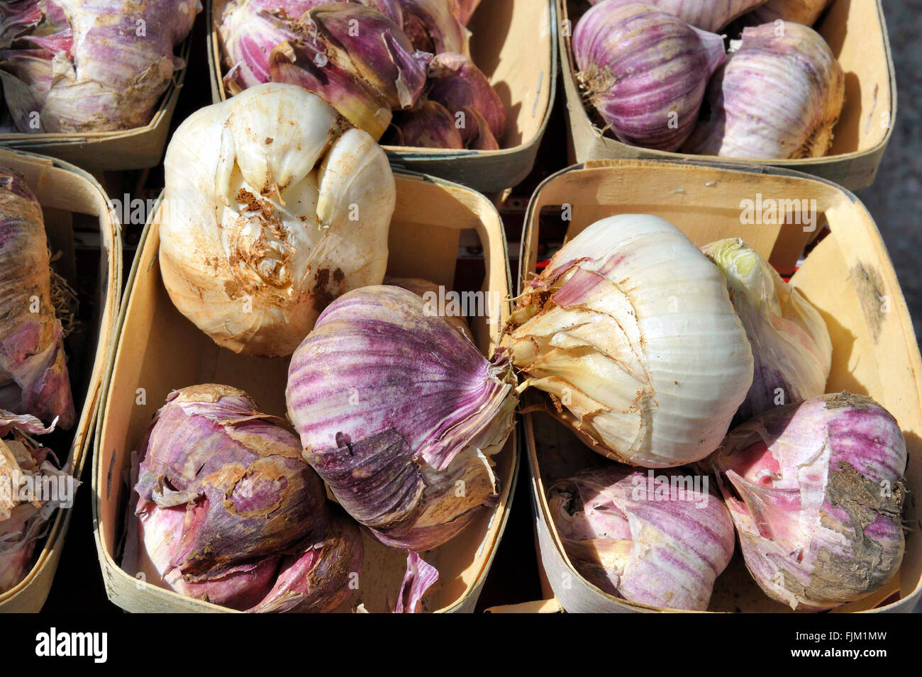 Garlic at a farmer's market in France Stock Photo - Alamy