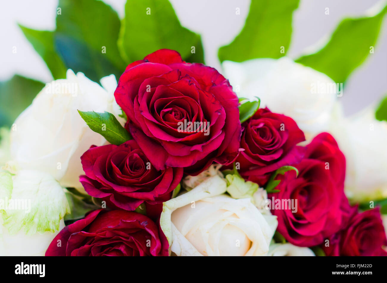 a beautiful bouquet of white and red roses Stock Photo - Alamy