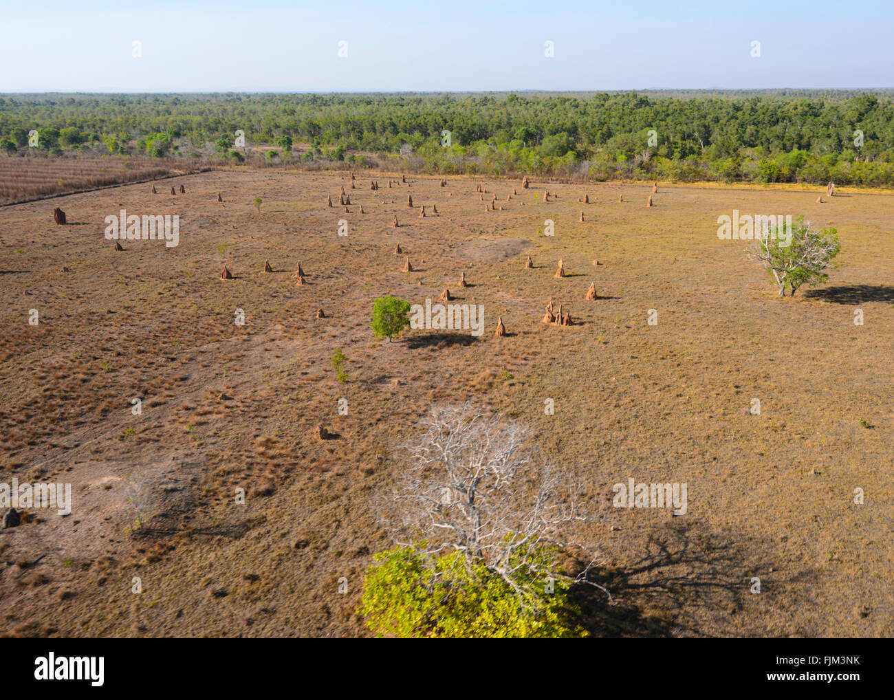 Aerial view of termite mounds in a cleared field, near Darwin, Northern ...