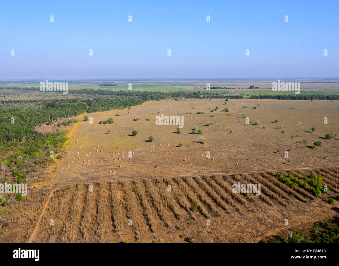 Aerial view of fields cleared for cultivation near Darwin, Northern ...