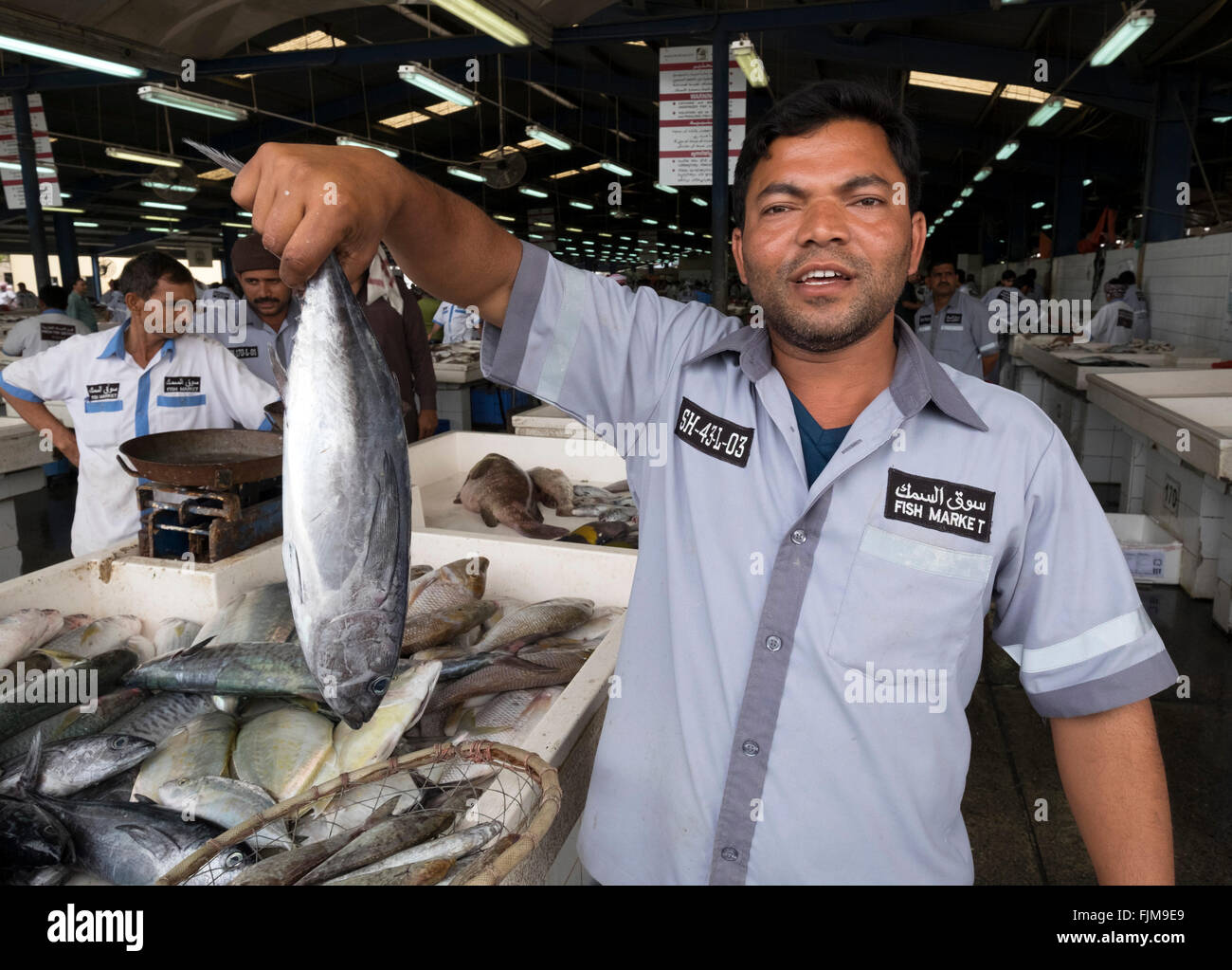 Fish market worker holding a fish for sale at Dubai fish market in ...