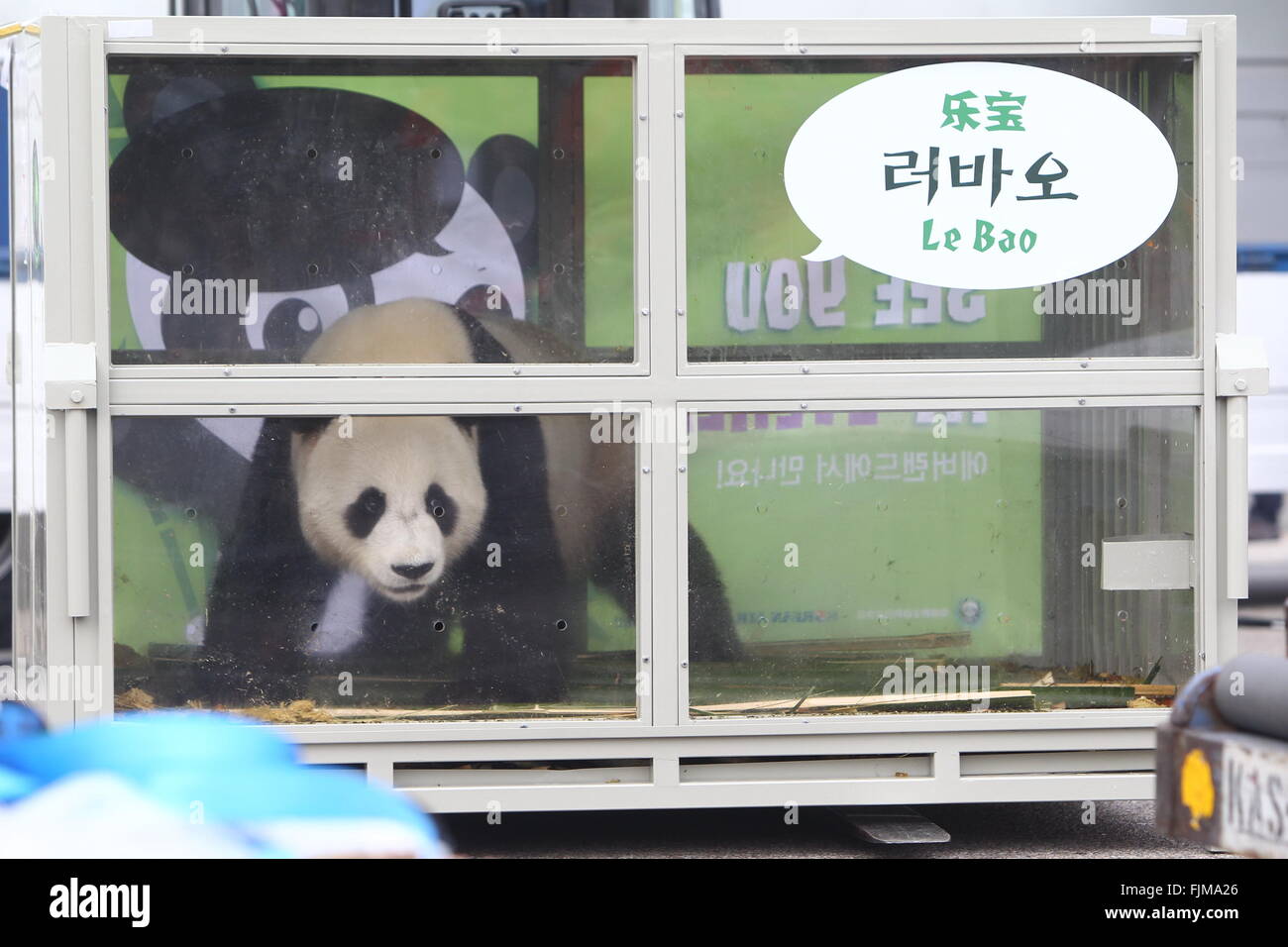 Incheon, South Korea. 3rd Mar, 2016. A giant panda named Le Bao arrives ...