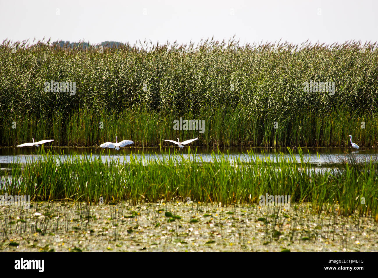 geography / travel, Lithuania, Nida, Courland Spit, Curonian barrier ...