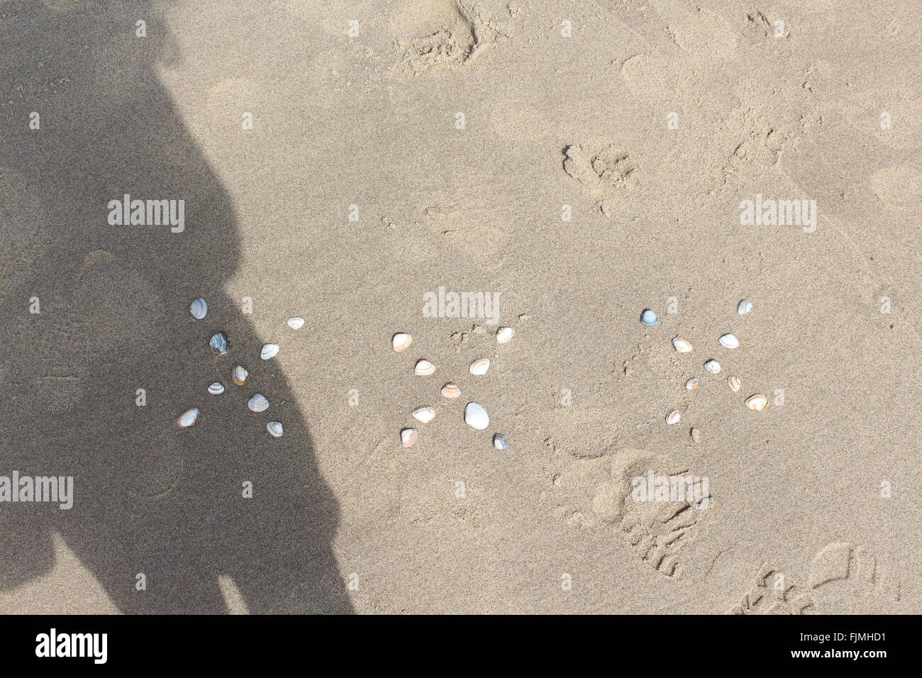 Wet sand on beach Stock Photo - Alamy