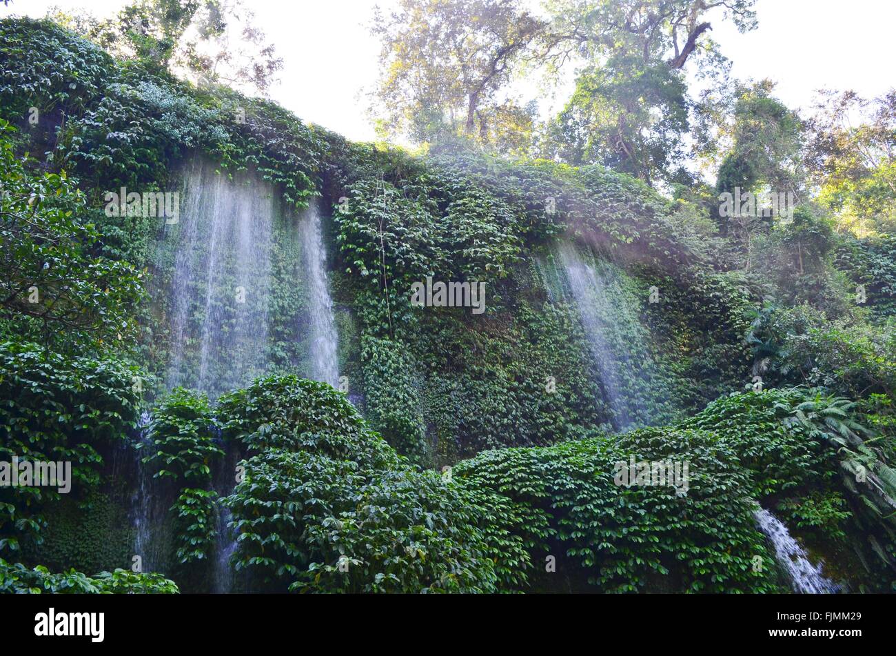 Low Angle View Of Waterfalls At Forest Stock Photo - Alamy