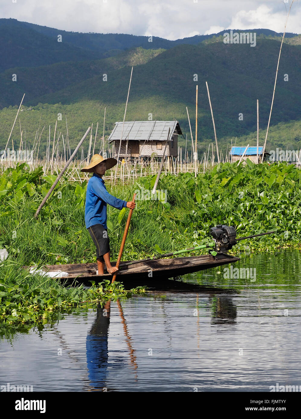 Freshwater fish of myanmar hi-res stock photography and images - Alamy