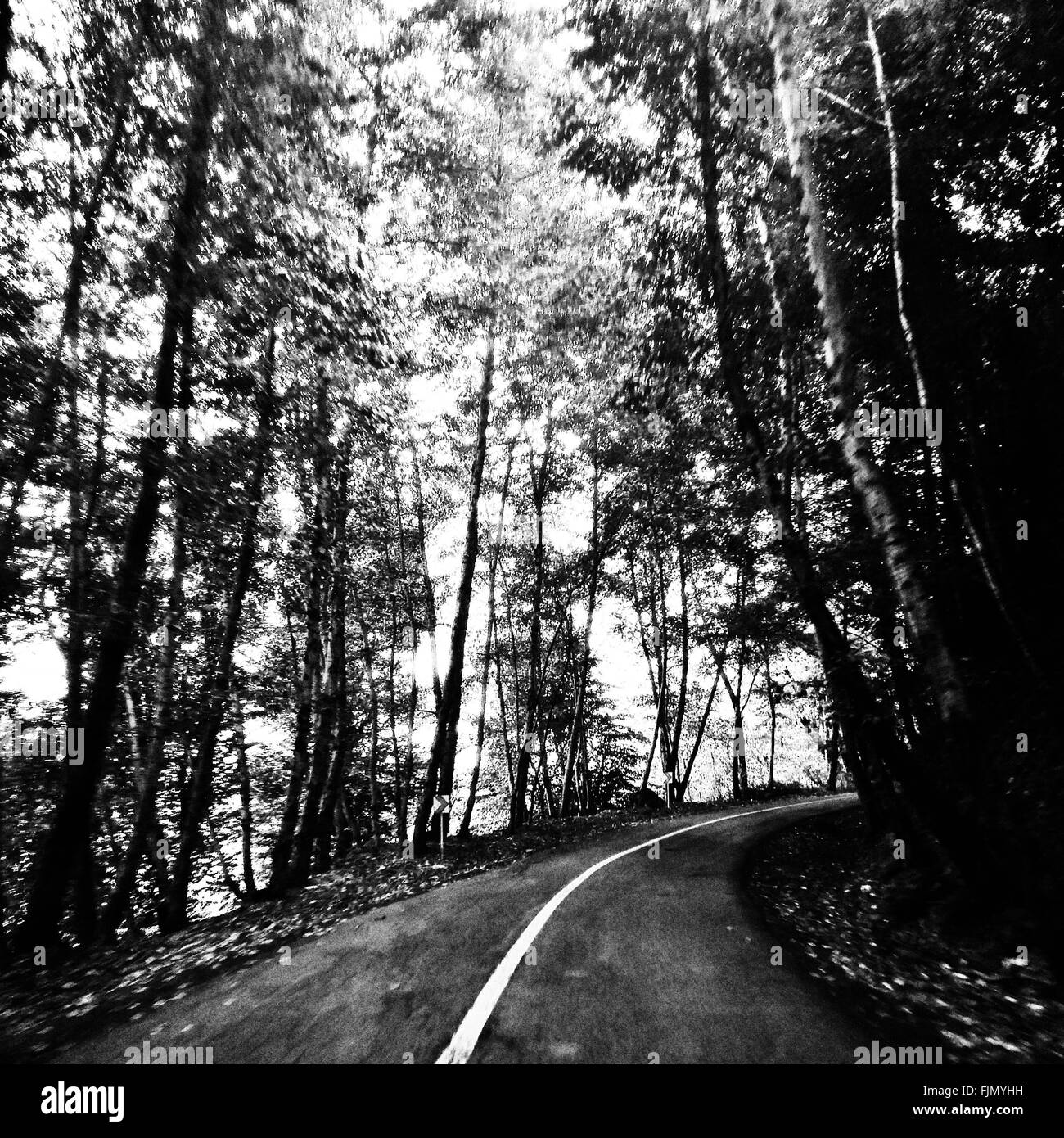 Silhouette Trees Road Curve High Resolution Stock Photography and ...