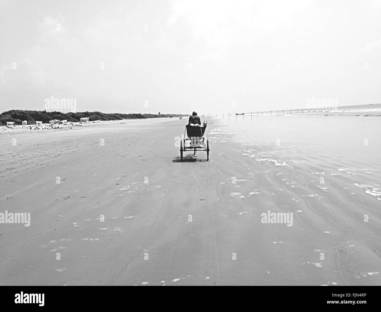 Man riding cart hi-res stock photography and images - Alamy