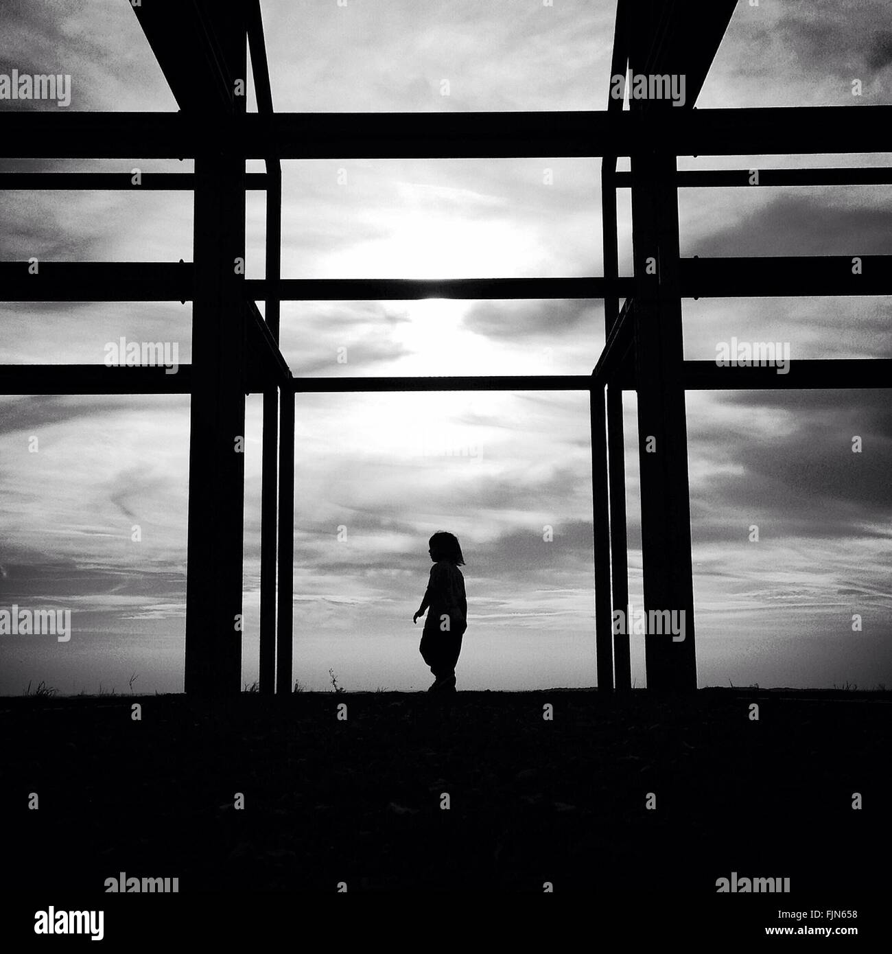 Low silhouette hi-res stock photography and images - Alamy