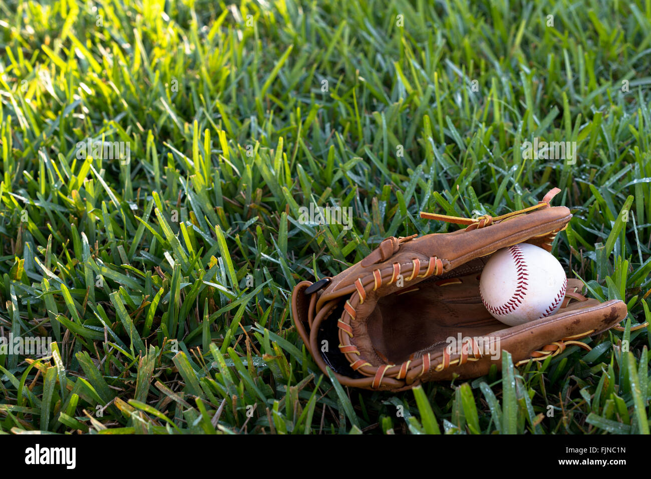 Baseball mitt hi-res stock photography and images - Alamy