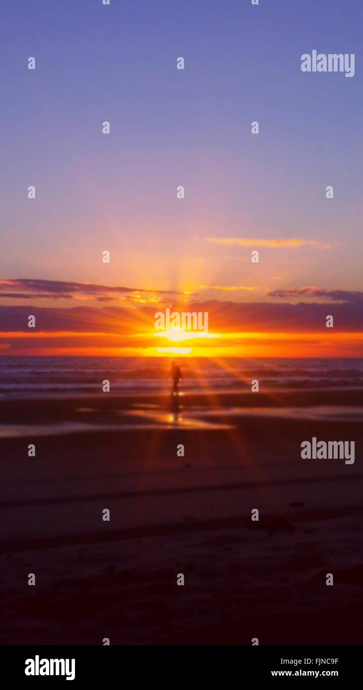 Man beach sunset silhouette hi-res stock photography and images - Alamy