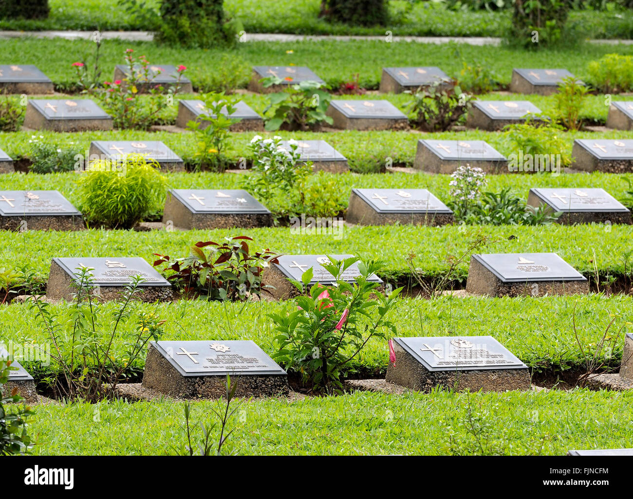 The Commonwealth War Cemetery, Taukkyan War Cemetery in Yangon, Myanmar ...