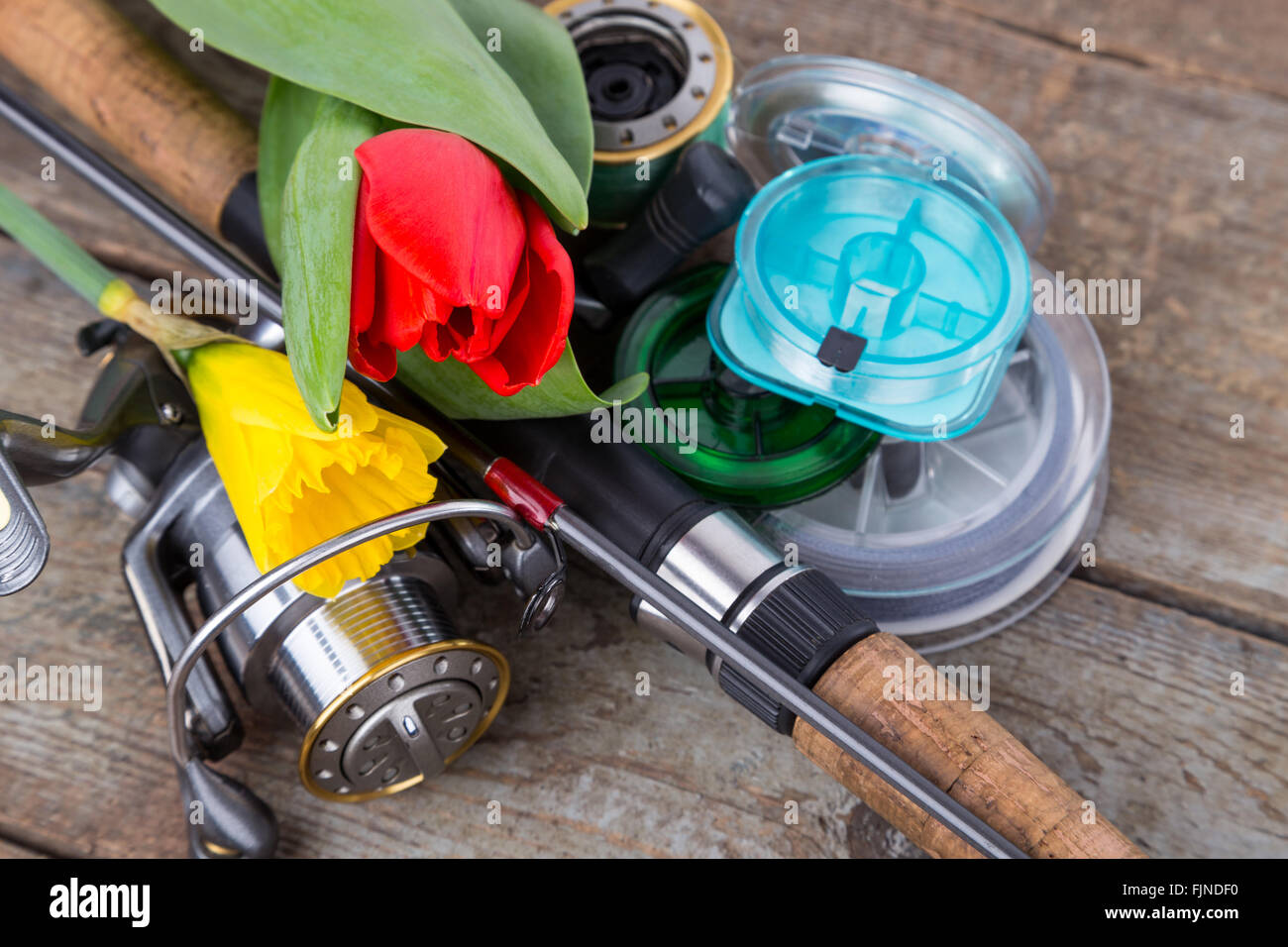 fishing tackles with spring flowers narcissus and tulips on wooden ...