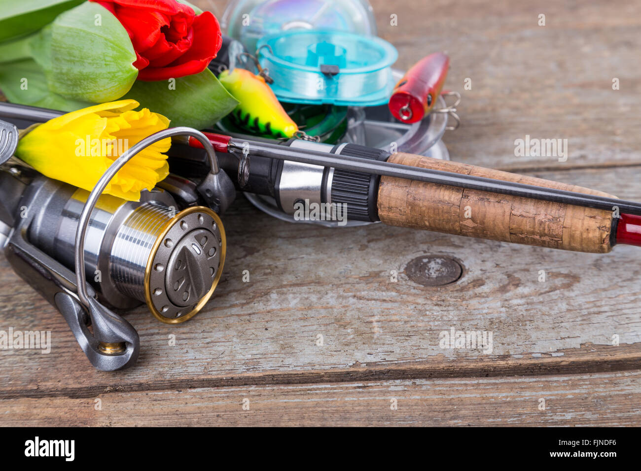 fishing tackles with spring flowers narcissus and tulips on wooden ...