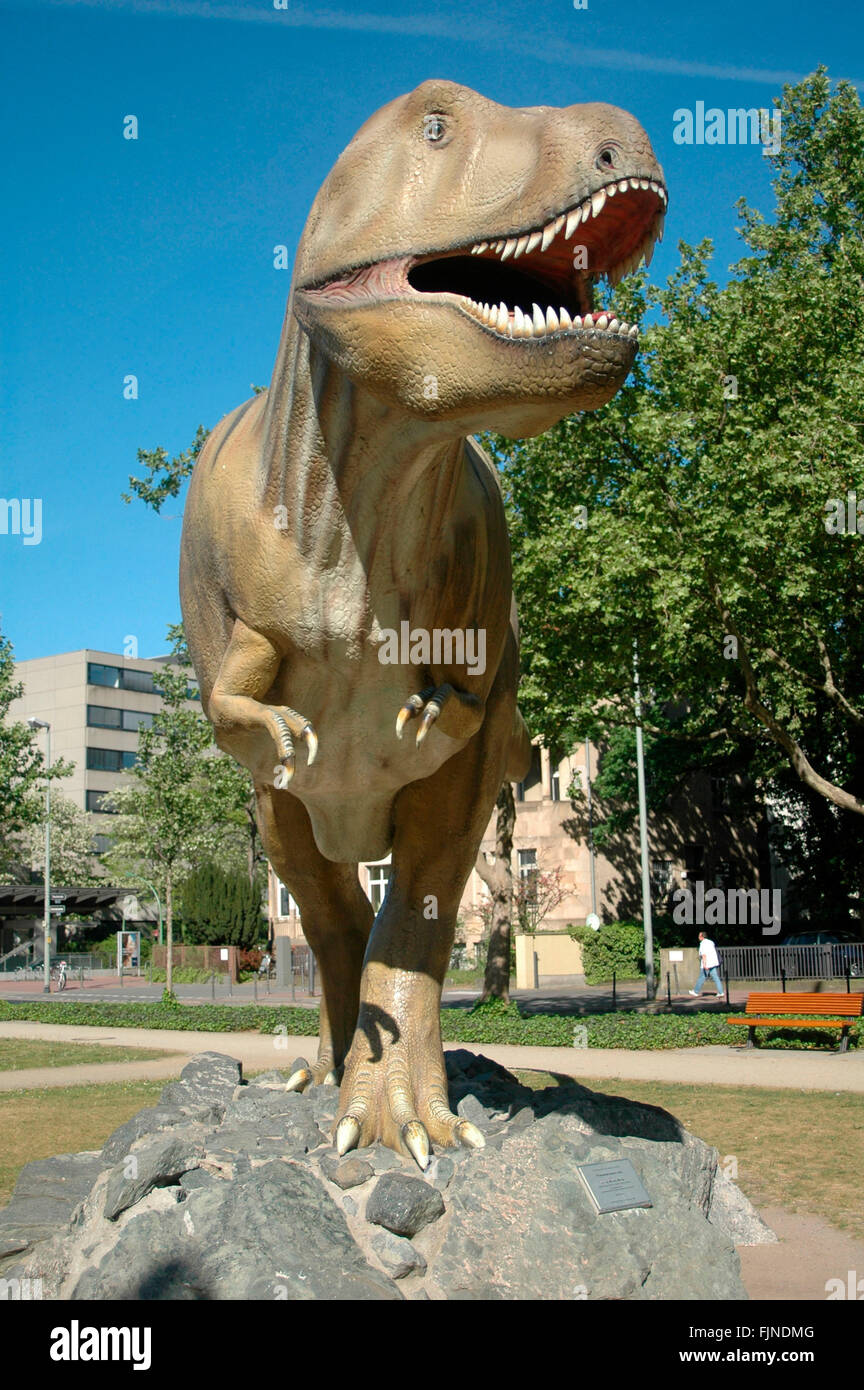 S saurus hi-res stock photography and images - Alamy