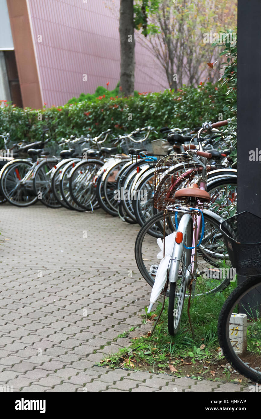 Bicycle parking in a row Stock Photo - Alamy