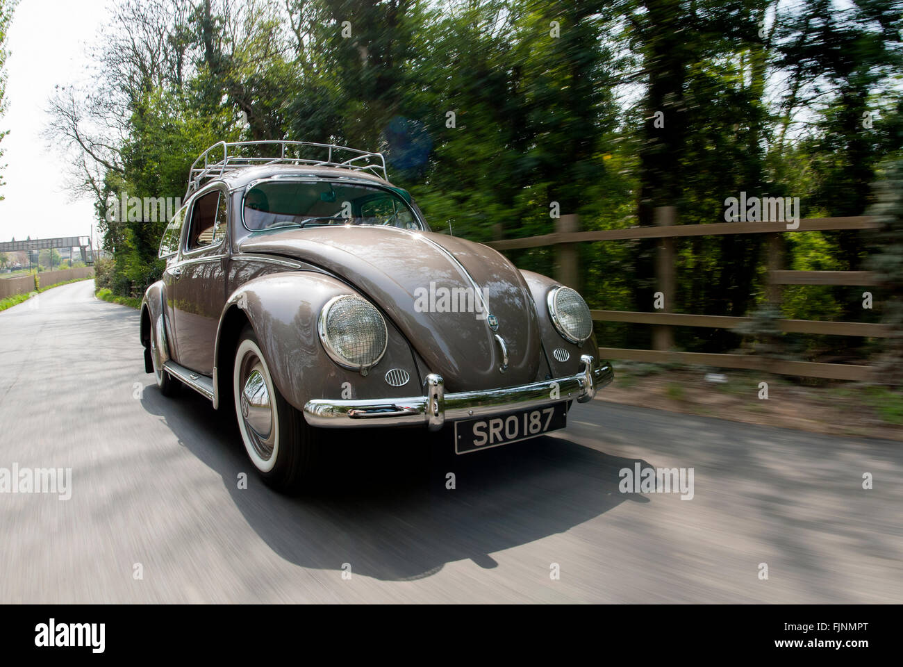 1954 VW Volkswagen Beetle Stock Photo - Alamy