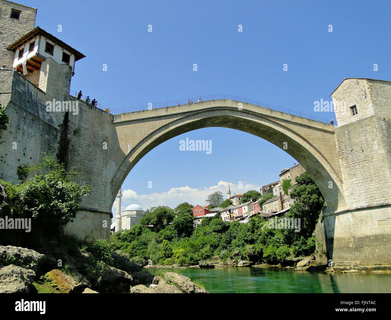 Tree arch over river hi-res stock photography and images - Alamy