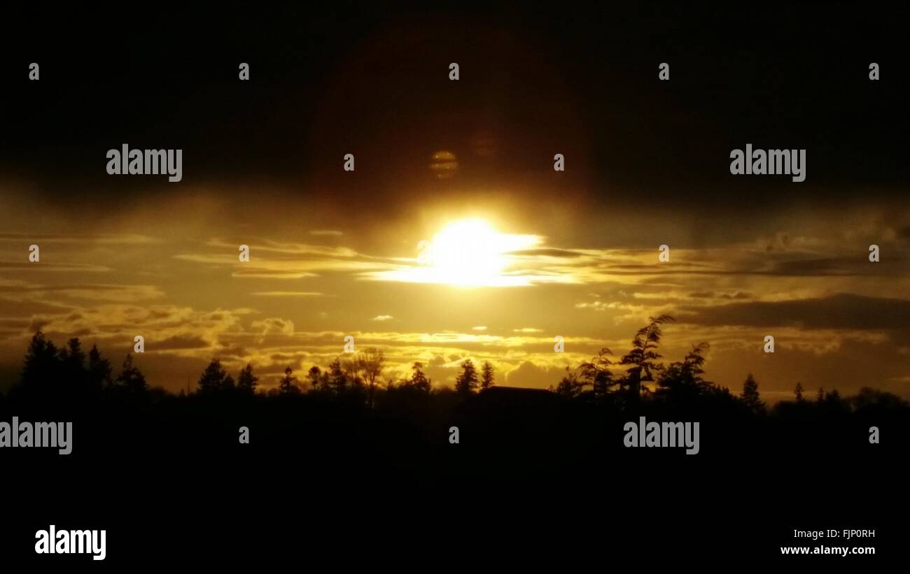 Scenic treeline hi-res stock photography and images - Alamy