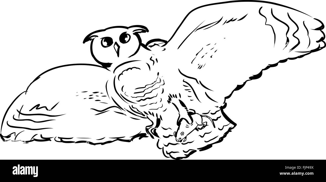 Outlined illustration of single owl with captured prey in claws Stock ...