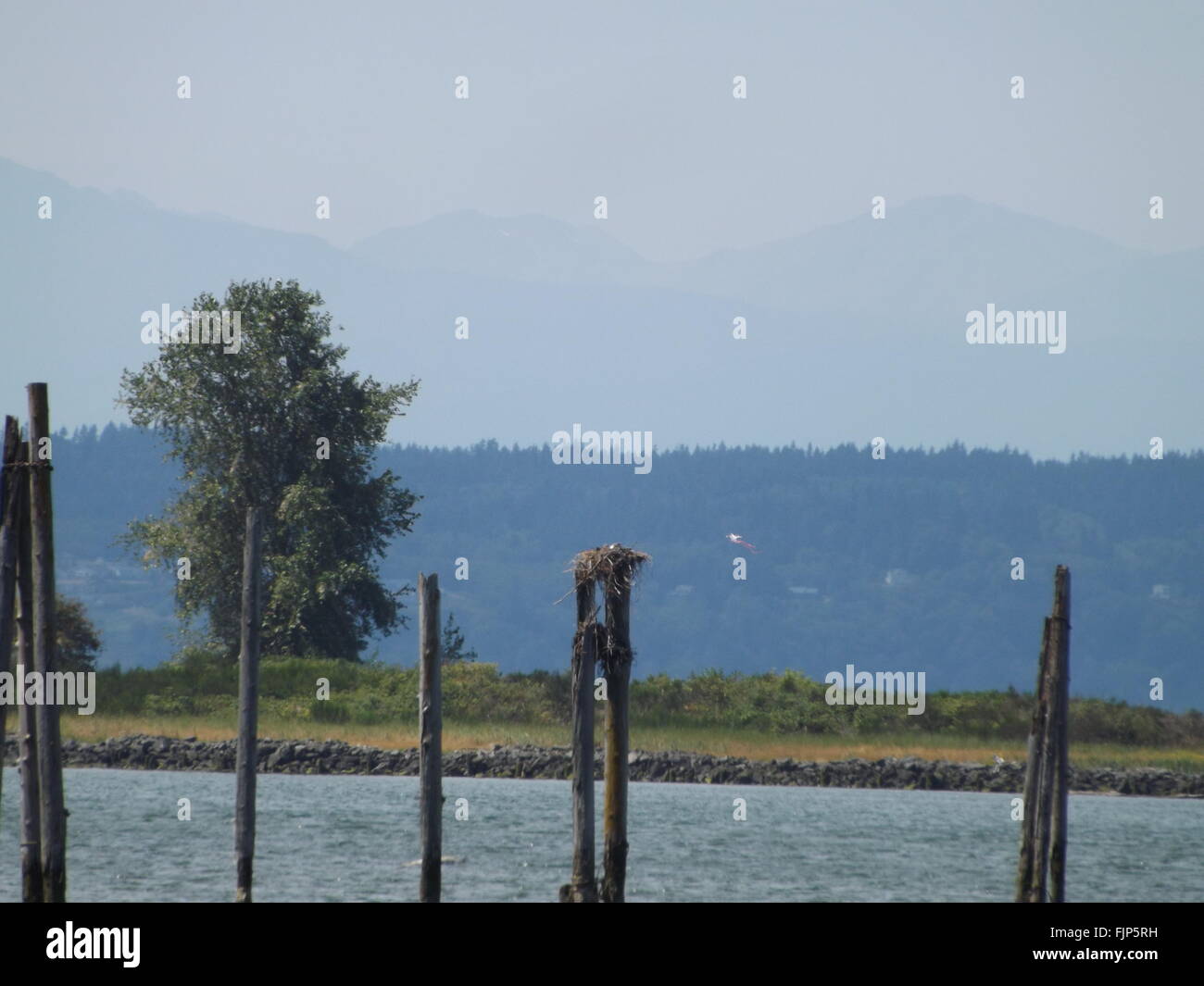 Mooring posts coastline hi-res stock photography and images - Alamy