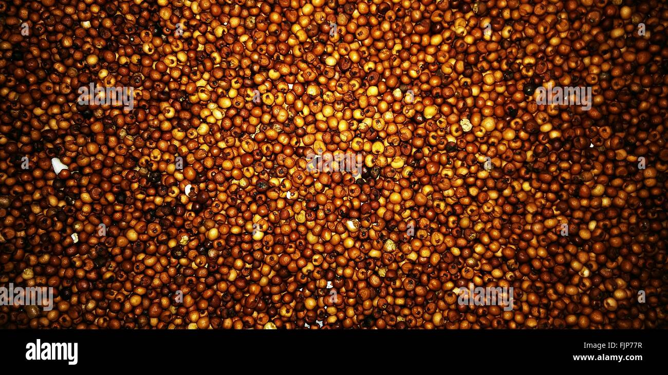 Ber backgrounds High Resolution Stock Photography and Images - Alamy