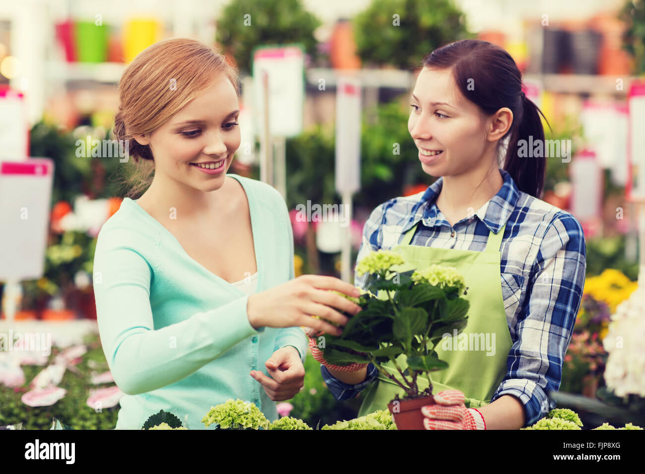 happy women choosing flowers in greenhouse Stock Photo - Alamy