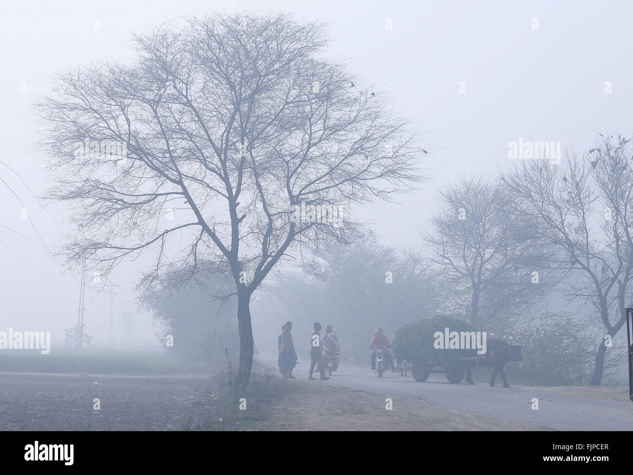 Lahore, Pakistan. 02nd Mar, 2016. Pakistani people passing through ...