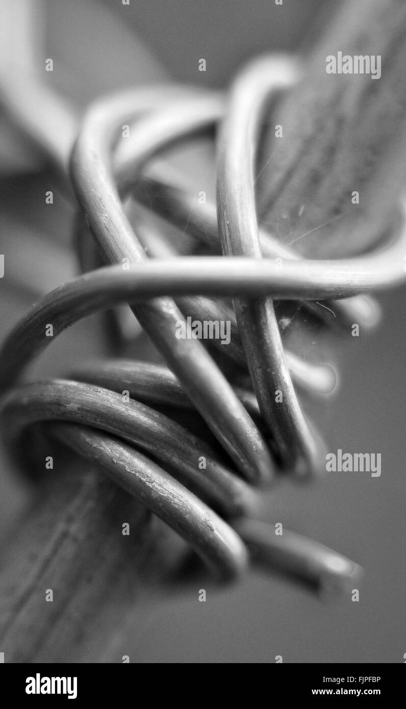 Tangles Stock Photos & Tangles Stock Images - Alamy