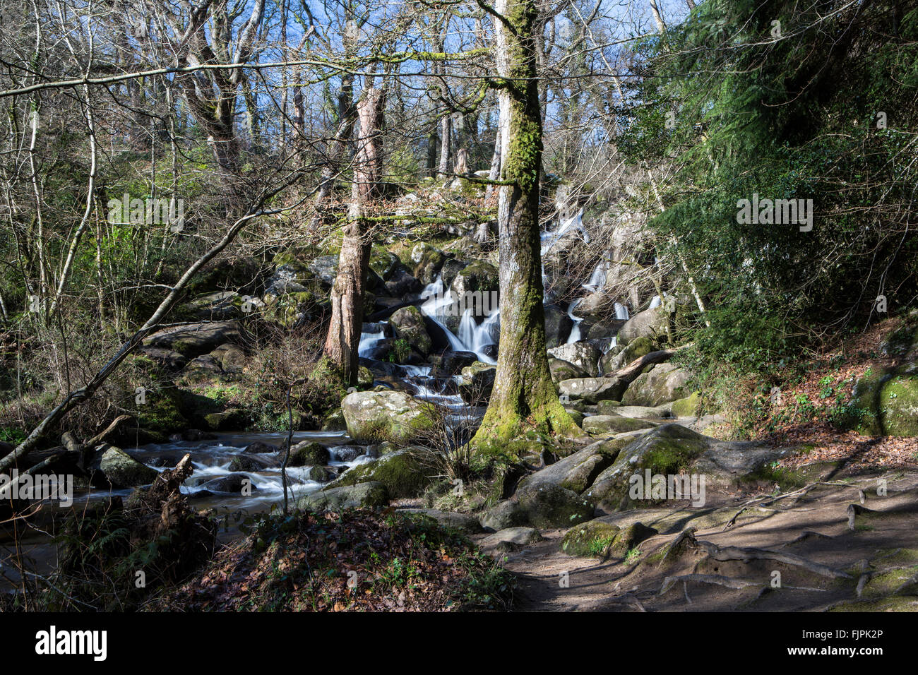 Becky Falls, Dartmoor, Devon Stock Photo - Alamy