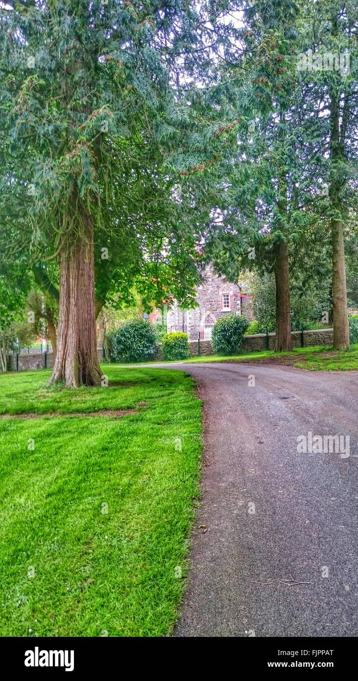 Narrow pathway hi-res stock photography and images - Alamy