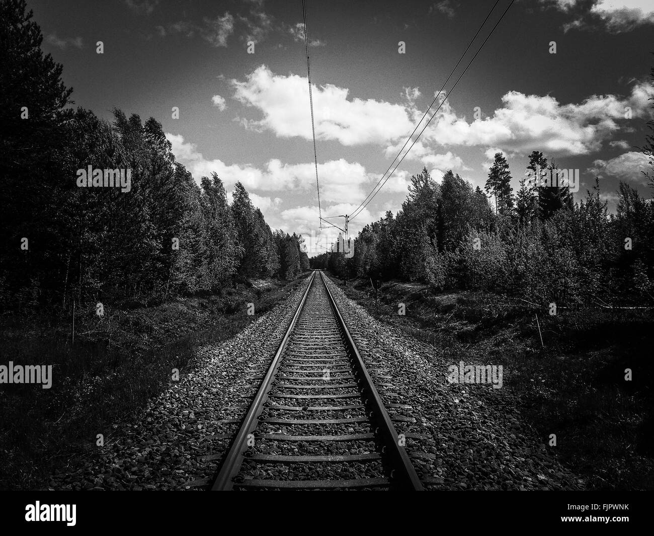 Railroad in forest hi-res stock photography and images - Alamy