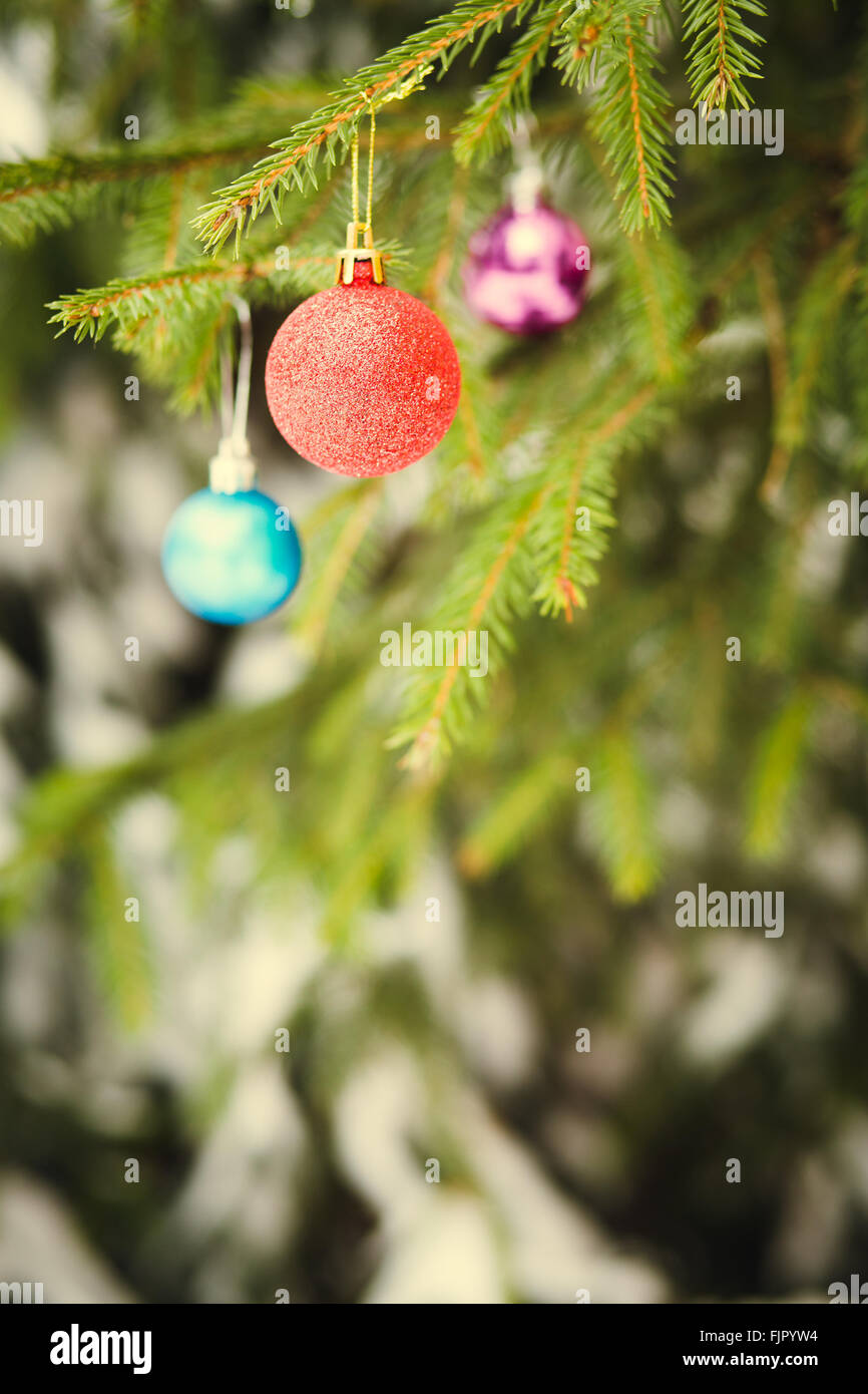 Real fir tree green hi-res stock photography and images - Alamy