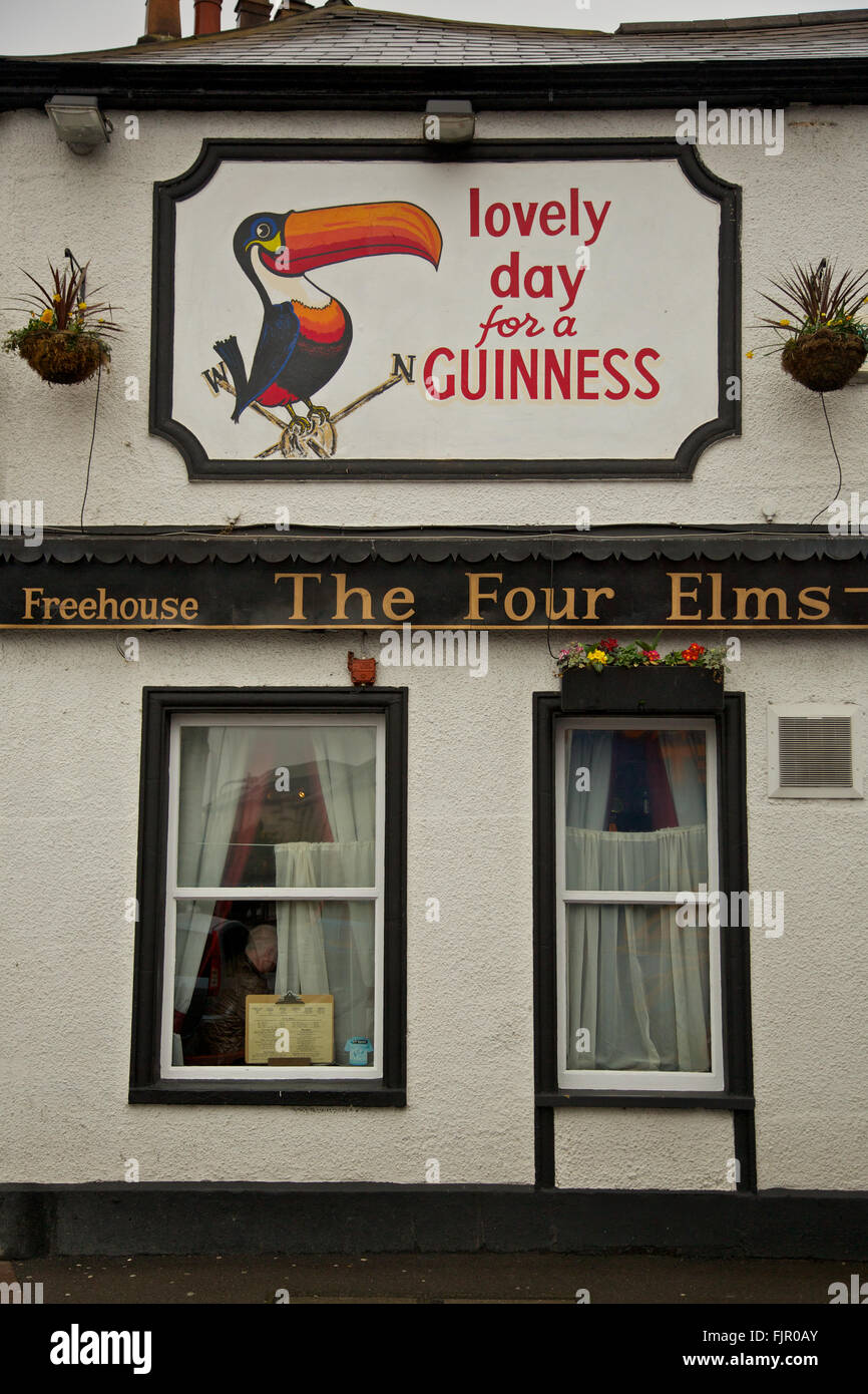 Guinness bird hi-res stock photography and images - Alamy