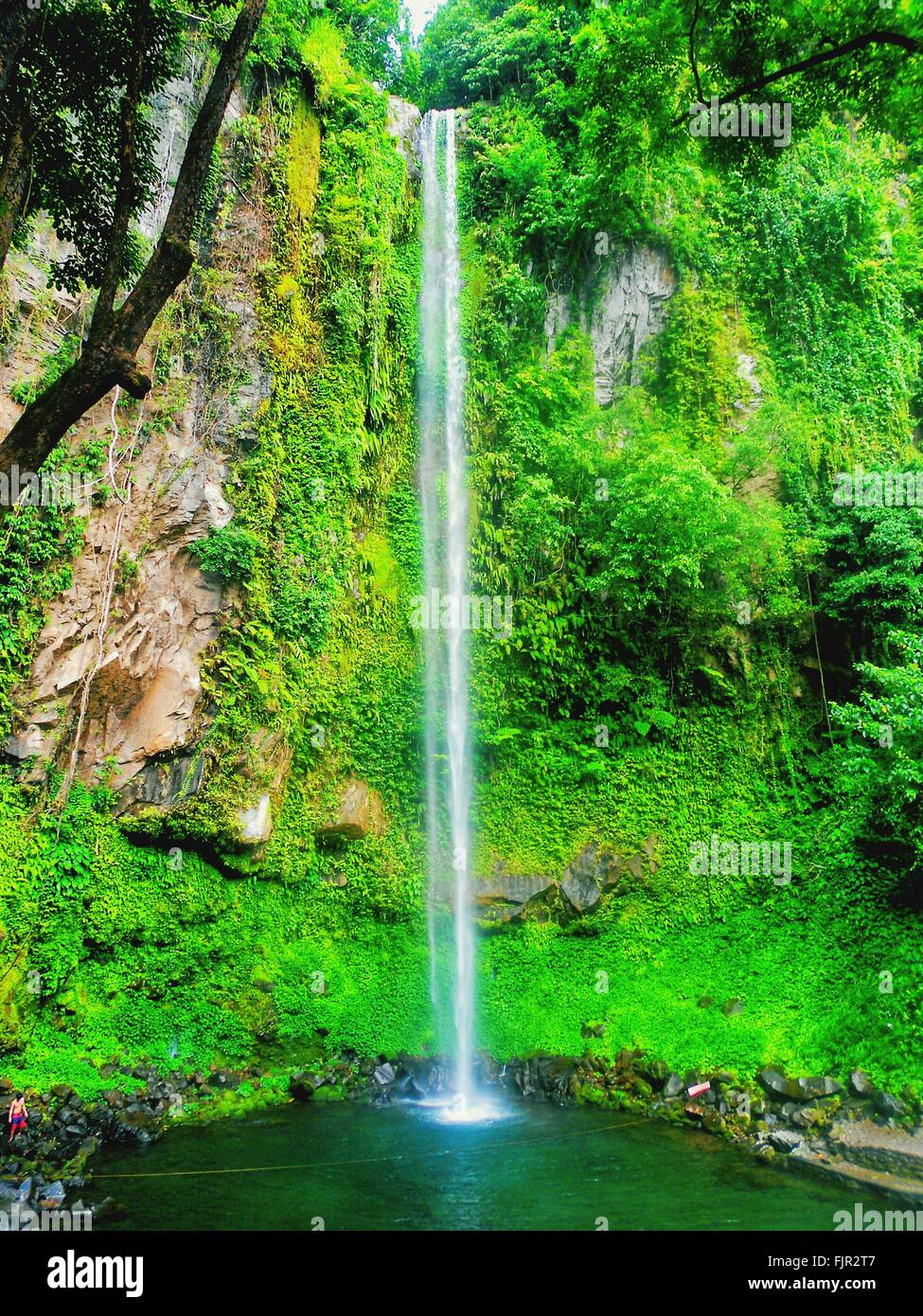 Waterfall In Forest Stock Photo - Alamy