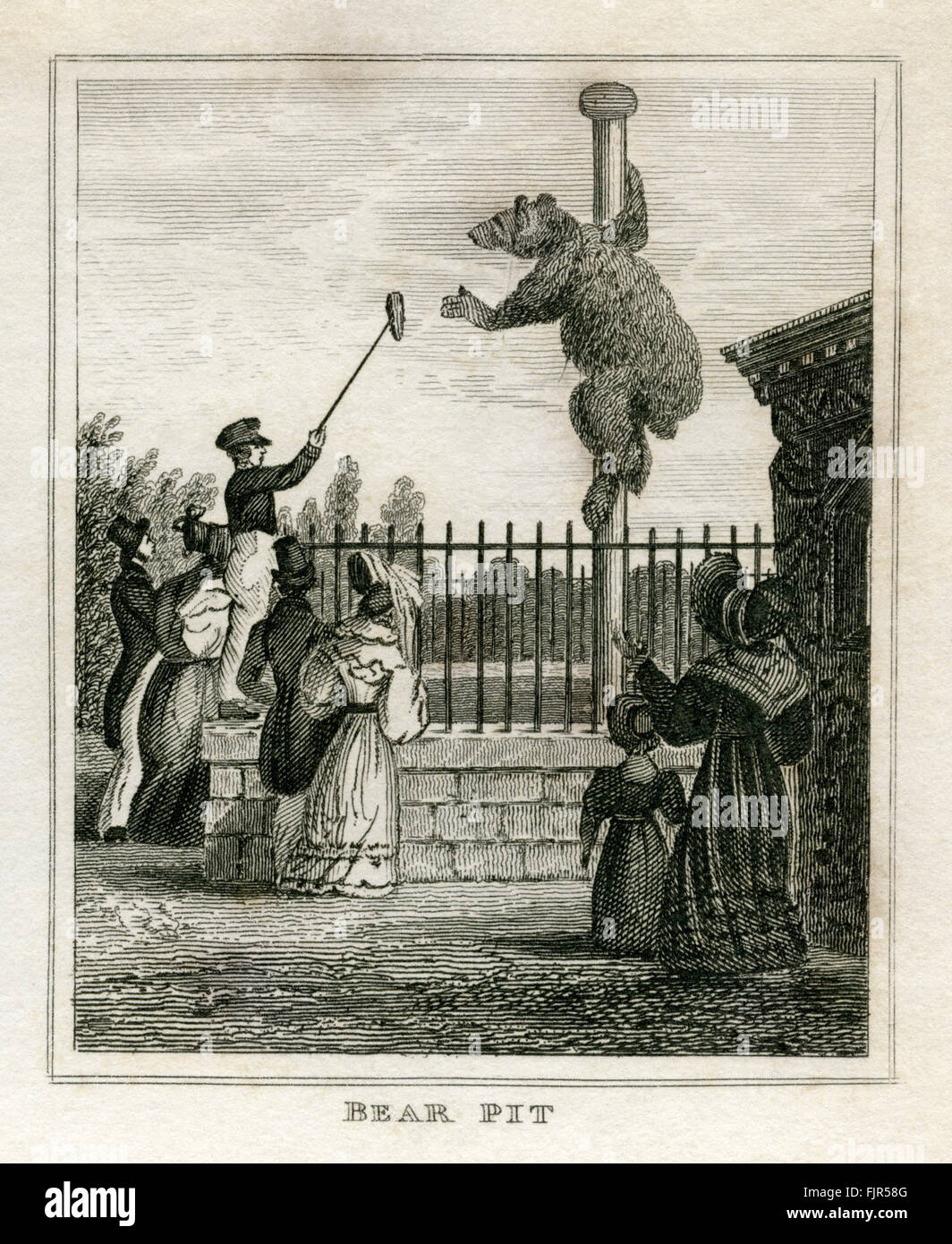 The bear pit at regents park zoo hi-res stock photography and images ...