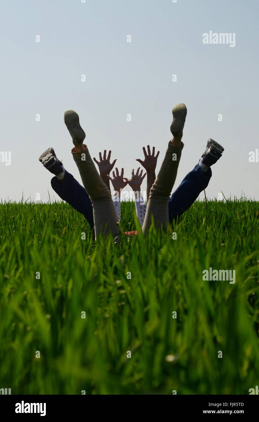 Hands and legs hi-res stock photography and images - Alamy