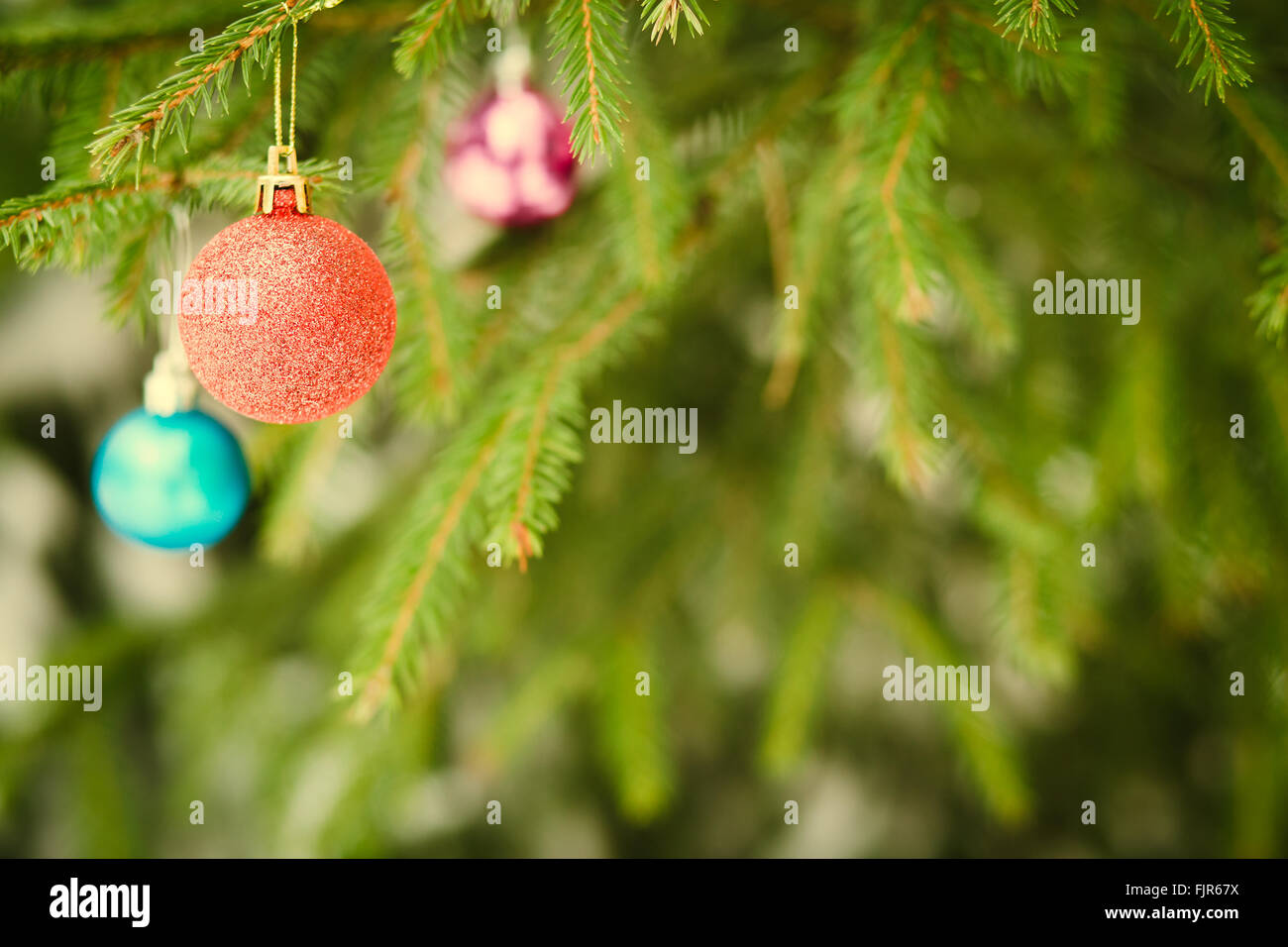 Real fir tree green hi-res stock photography and images - Alamy