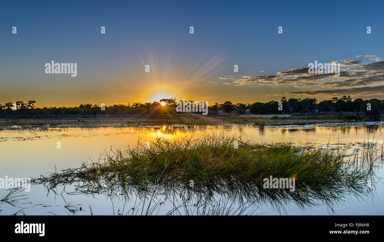 Okawango delta boat hi-res stock photography and images - Alamy