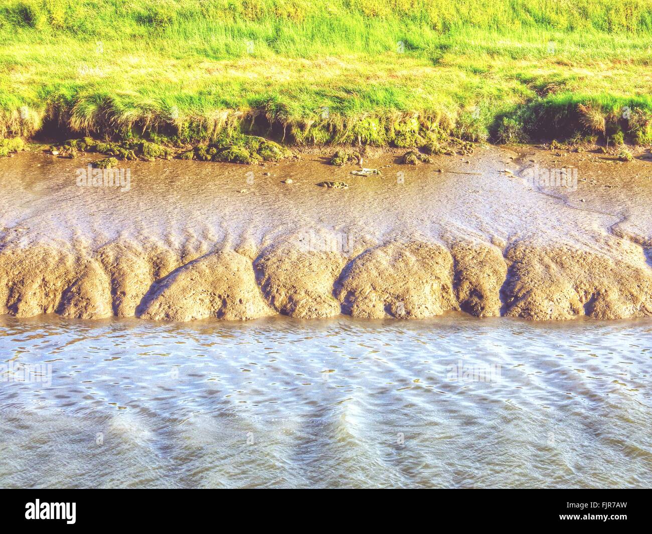 Riverside Grass High Resolution Stock Photography and Images - Alamy