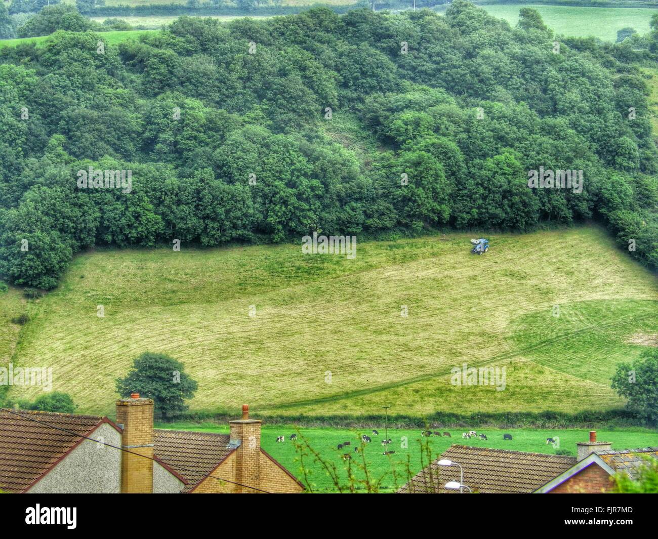 Lawn field with nature and animals hi-res stock photography and images ...