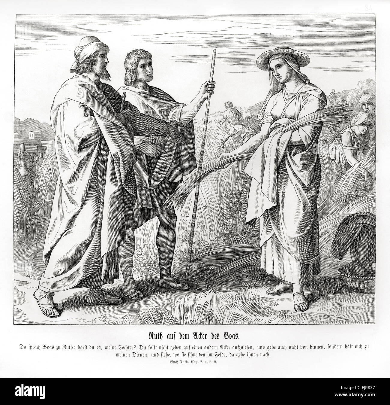 Ruth on the fields of boaz hi-res stock photography and images - Alamy