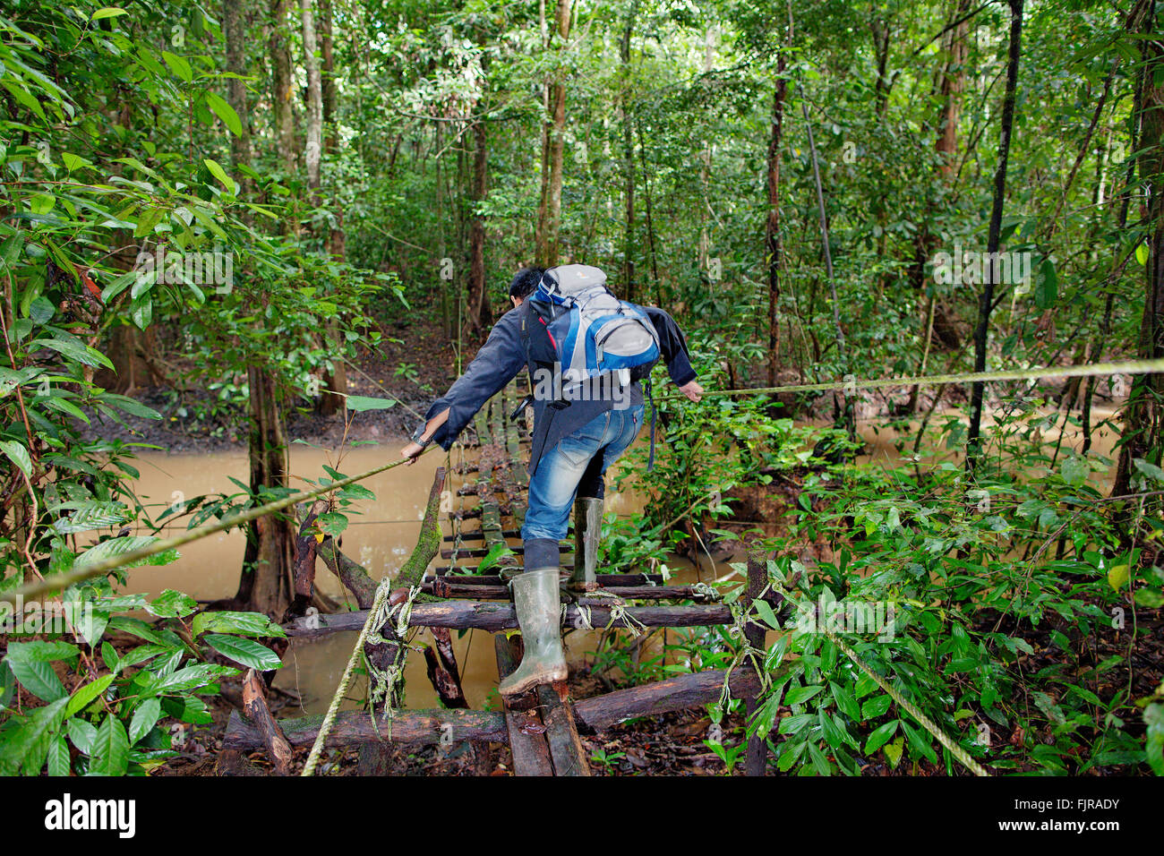 Field research behaviour hi-res stock photography and images - Alamy