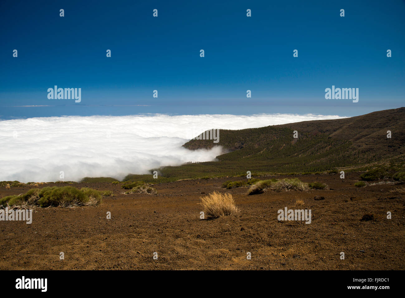 geography / travel, Spain, Tenerife, landscapes, Teide National Park ...