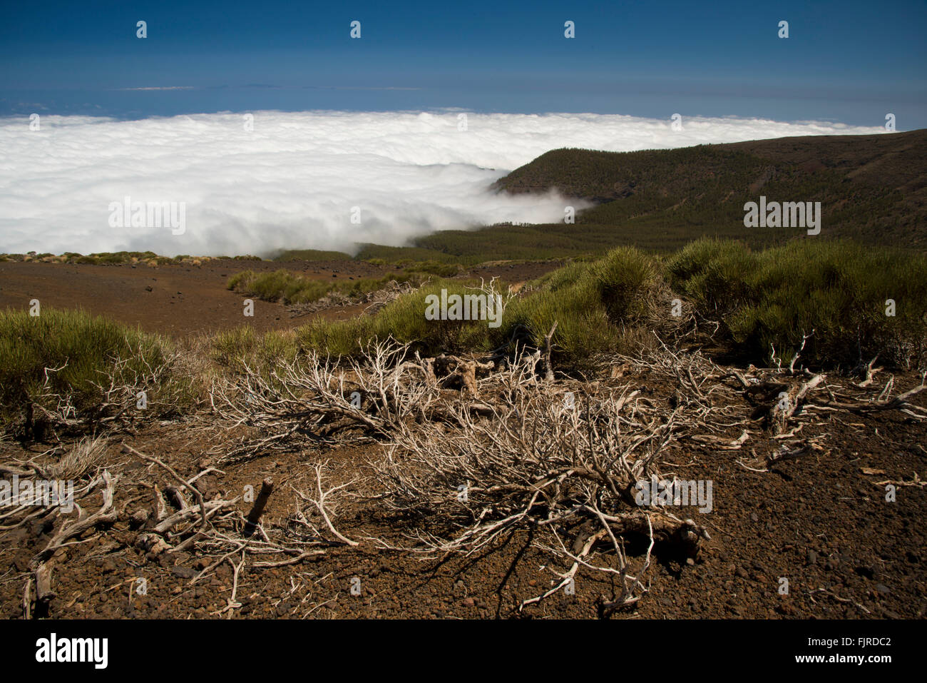 Tenerife landscapes hi-res stock photography and images - Alamy