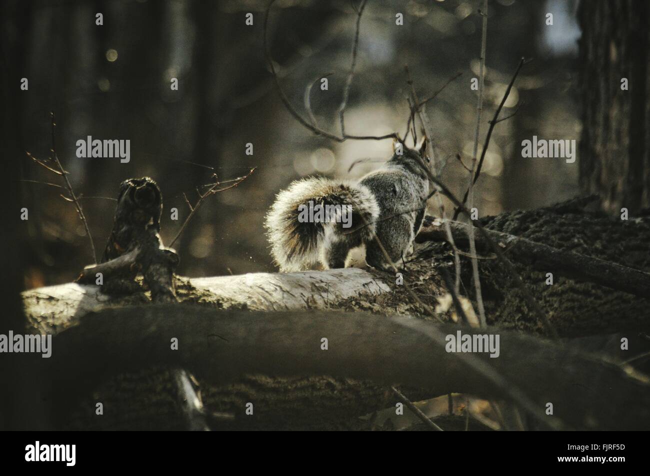 Relaxing In Nature High Resolution Stock Photography and Images - Alamy